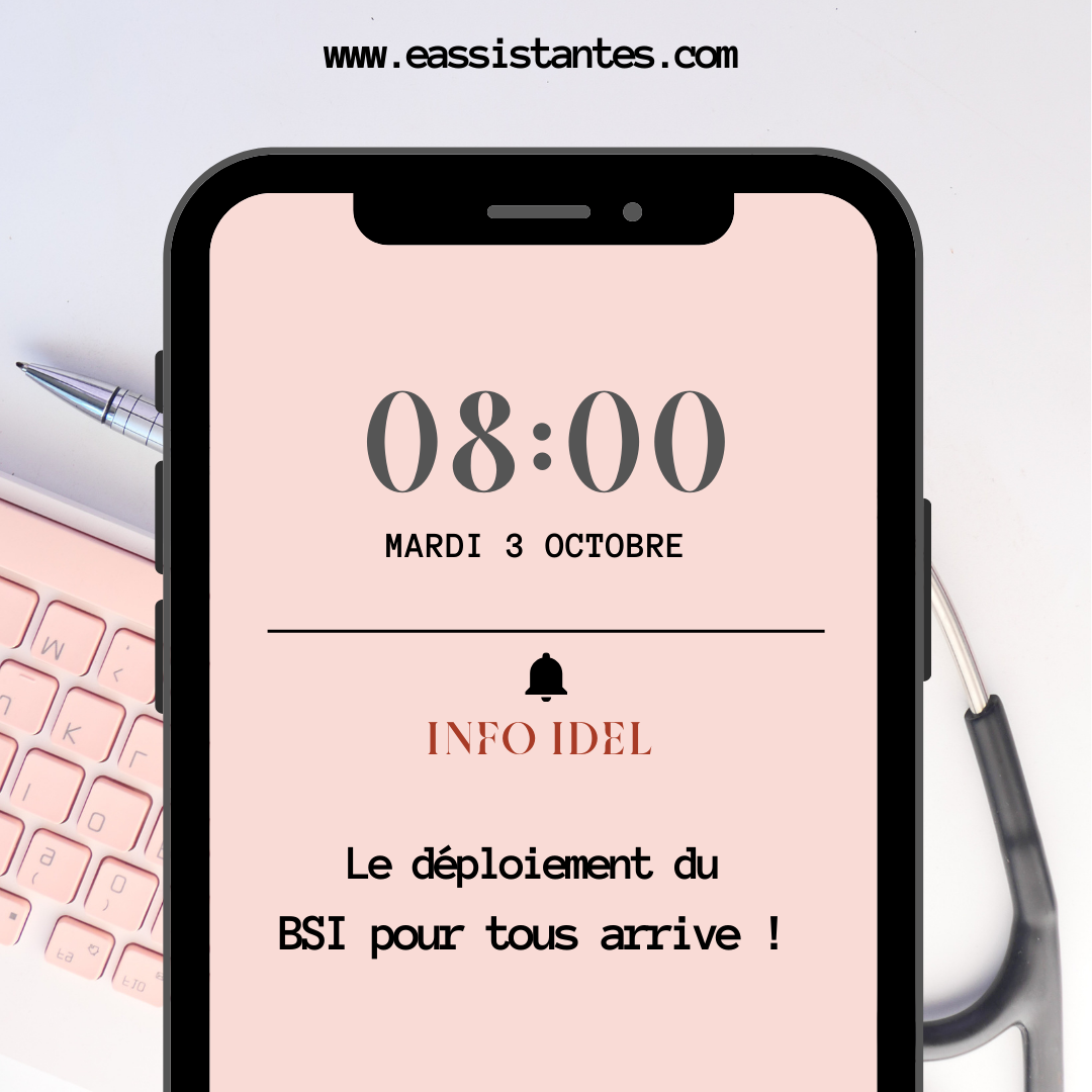 Dernière phase du BSI pour les IDEL